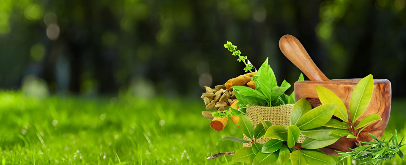 Best Ayurveda Hospital in Kochi | Ayur Medicity Hospital, Ernakulam